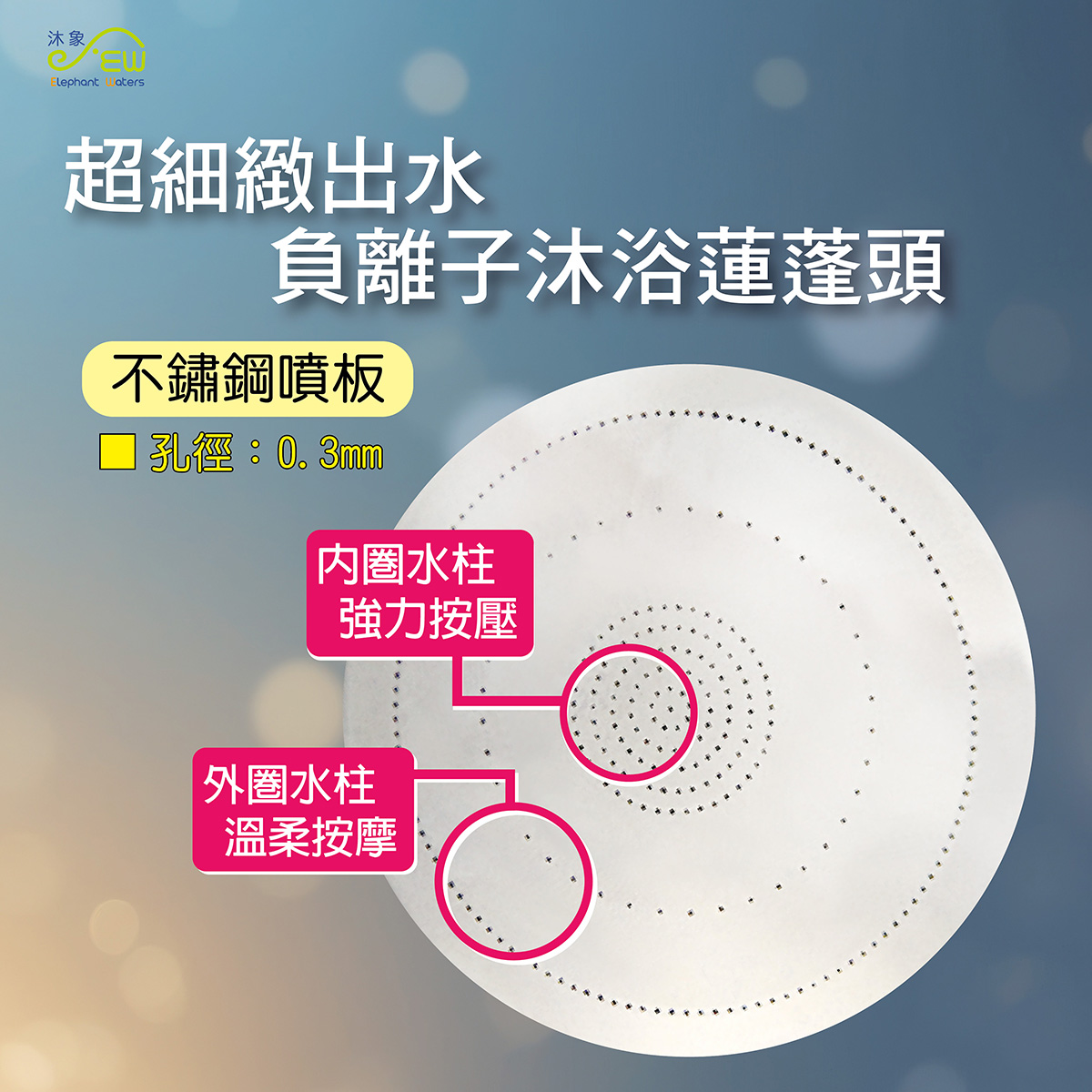 【沐象精品衛浴】Elephant Waters 沐象 SW301負離子深層柔洗把手 蓮蓬頭 沐浴把手 負離子 省水標章 | 蝦皮購物