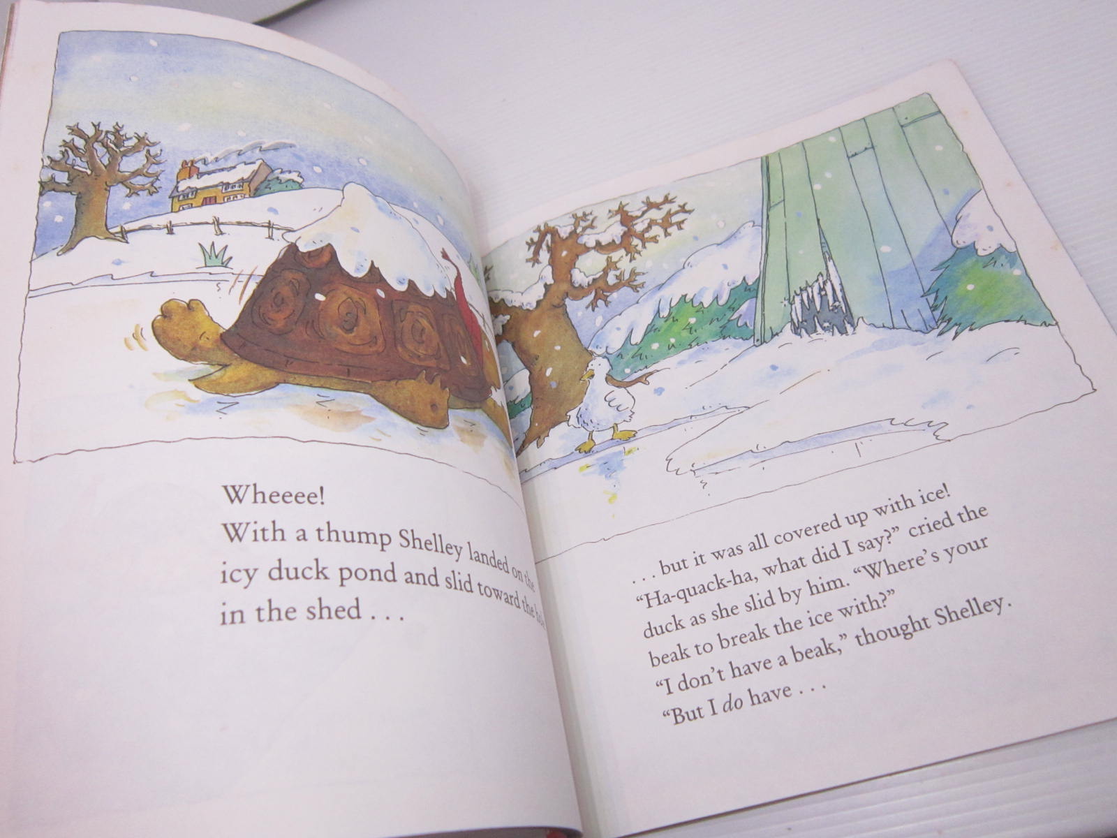 「二手書」Scholastic A silly Snowy Day Ridiculous 英文讀本 Coleman | 蝦皮購物