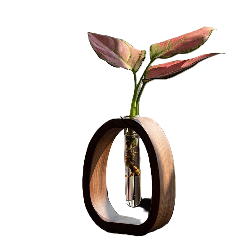 🔹KAILI 🔥【台灣現貨】實木水培花器 胡桃木+玻璃試管花器 懶人養殖 辦公桌面 書房 客廳鮮花養植擺飾生日 | 蝦皮購物