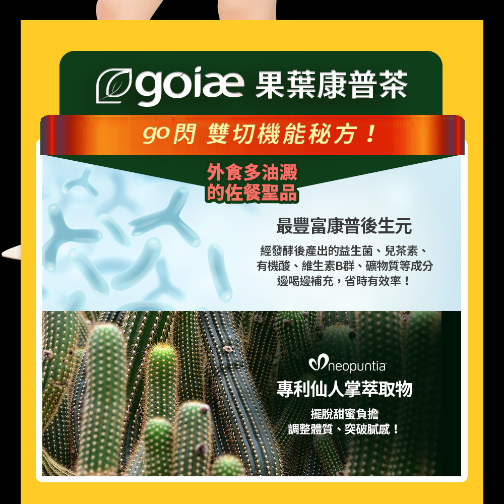 goiae果葉 康普茶沖泡粉包(蘋果.檸檬)各1盒-品牌大使 大元 林艾璇 | 蝦皮購物