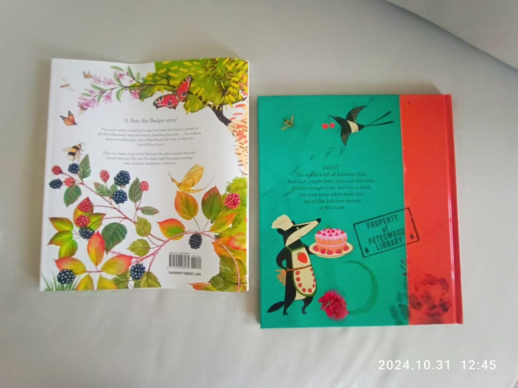 現貨塑封🍀精裝英文繪本Bothered by Bugs🍀Emily Gravett 2024年新作細膩畫風🍀缺書店 | 蝦皮購物