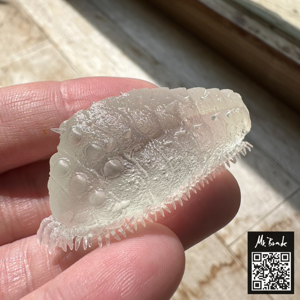 Mr.Brade 風之谷 王蟲(扭蛋大小)_3D列印未塗裝模型 （出清中） | 蝦皮購物