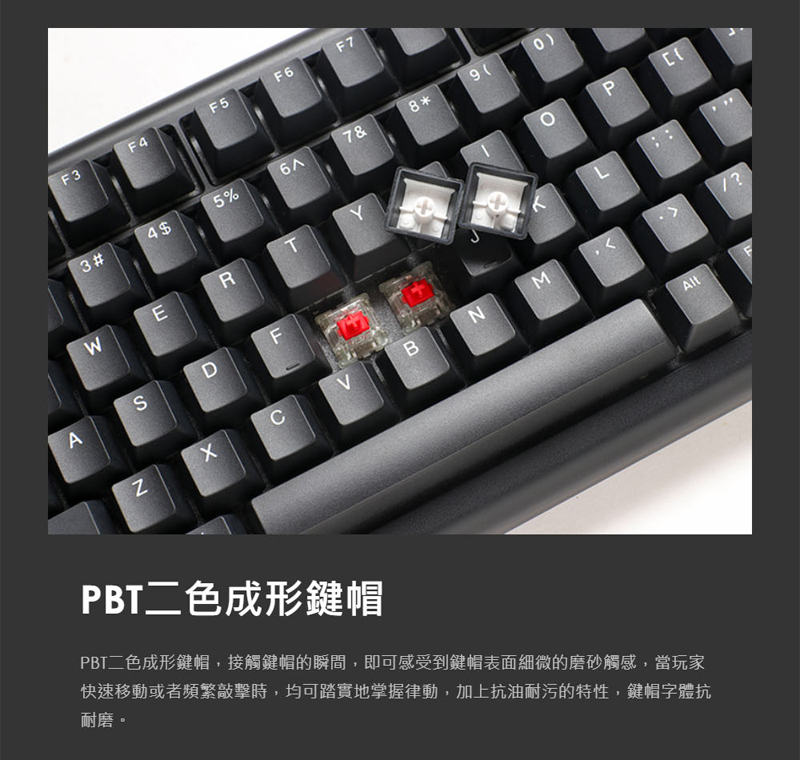 Ducky ProjectD Tinker75 RGB Gasket QMK&VIA系統套鍵 熱插拔 有線 PBT二色 | 蝦皮購物