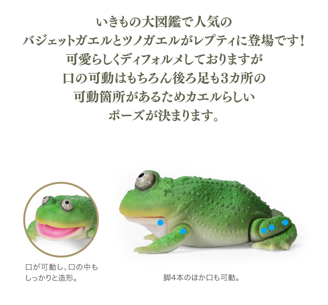 『Vic Toy』扭蛋 轉蛋 日版 萬代 生物大圖鑑 小丑蛙與角蛙 圓眼珍珠蛙 小丑蛙 角蛙 現貨 | 蝦皮購物