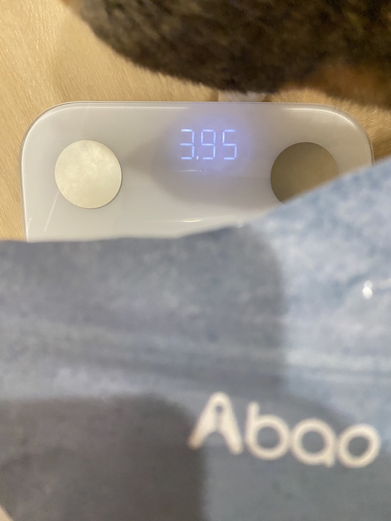 Abao 阿寶 挑食貓配方-肚肚派對貓吃魚-無穀貓糧(4kg 已拆封) 4公斤 添加益生菌 無穀貓飼料 | 蝦皮購物