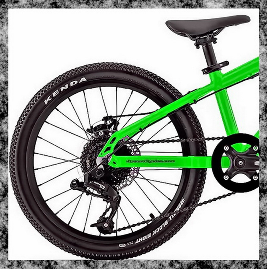 [I.H BMX] SPAWN RAIJU 20" MTB 9速登山車 螢光綠 場地車/滑步車/平衡車/BMX/越野車 | 蝦皮購物