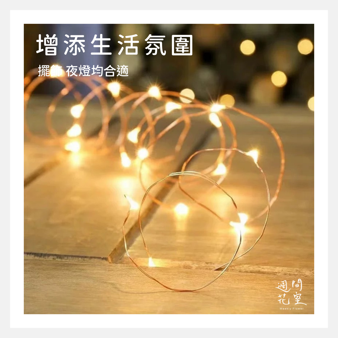 週間花室｜(二色) 無線 LED線燈 LED燈條 LED銅線燈串 聖誕節燈 燈串 串燈 露營燈 聖誕燈串 聖誕節裝飾燈 | 蝦皮購物