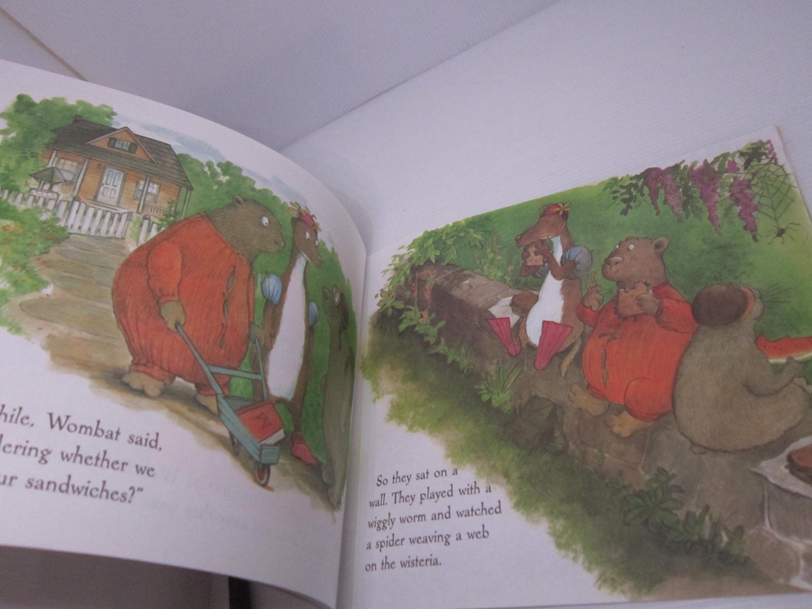 「二手書」Scholastic The Worrywarts 英文繪本 Pamela Duncan Cole | 蝦皮購物