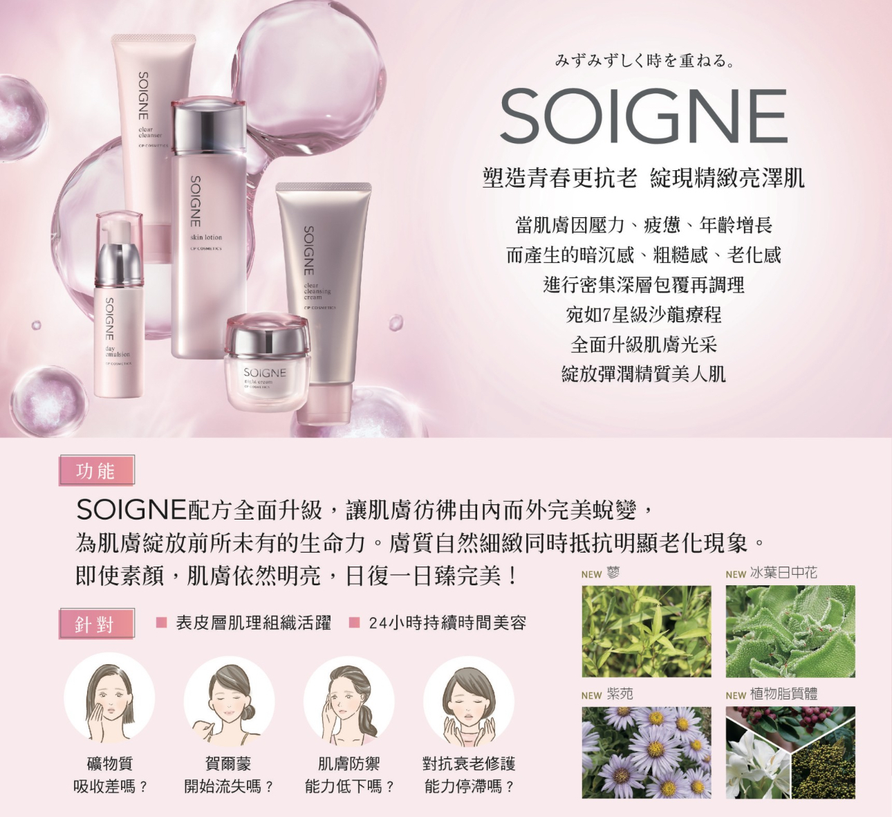 【SOIGNE】原粹美姬清透精華霜(BD濃潤型)40g / 清透精華乳(BC清爽型) 45g | 紅誠集品 | 蝦皮購物