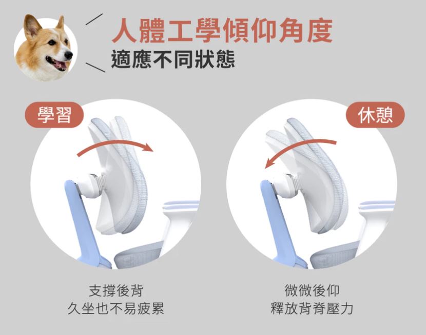 【耀偉】MOTTI ｜muca 成長學習椅 電動升降桌 書桌 學習桌 🆓贈送椅子布套🎀 此椅款需DIY | 蝦皮購物