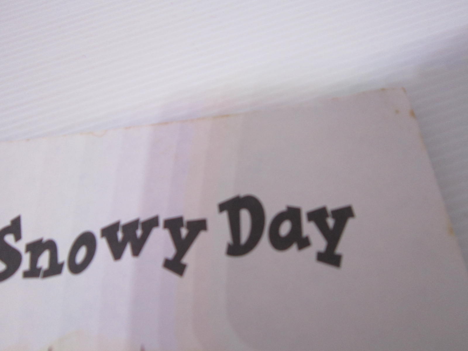 「二手書」Scholastic A silly Snowy Day Ridiculous 英文讀本 Coleman | 蝦皮購物
