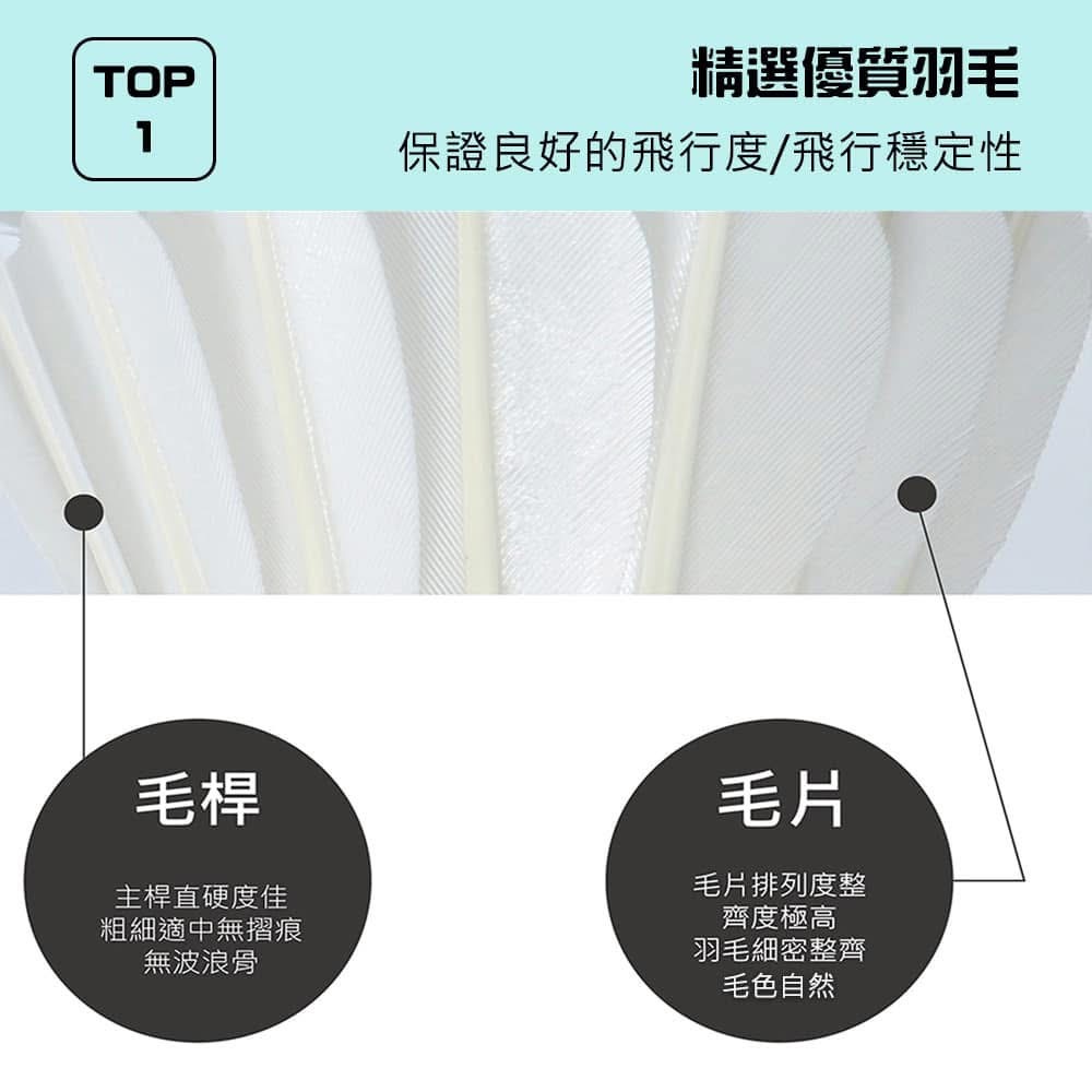 【唯羽生活】VOLAR【V-B】VOLAR B 羽毛球 羽球 最耐打的訓練級羽球 黑鵝毛洗白 | 蝦皮購物