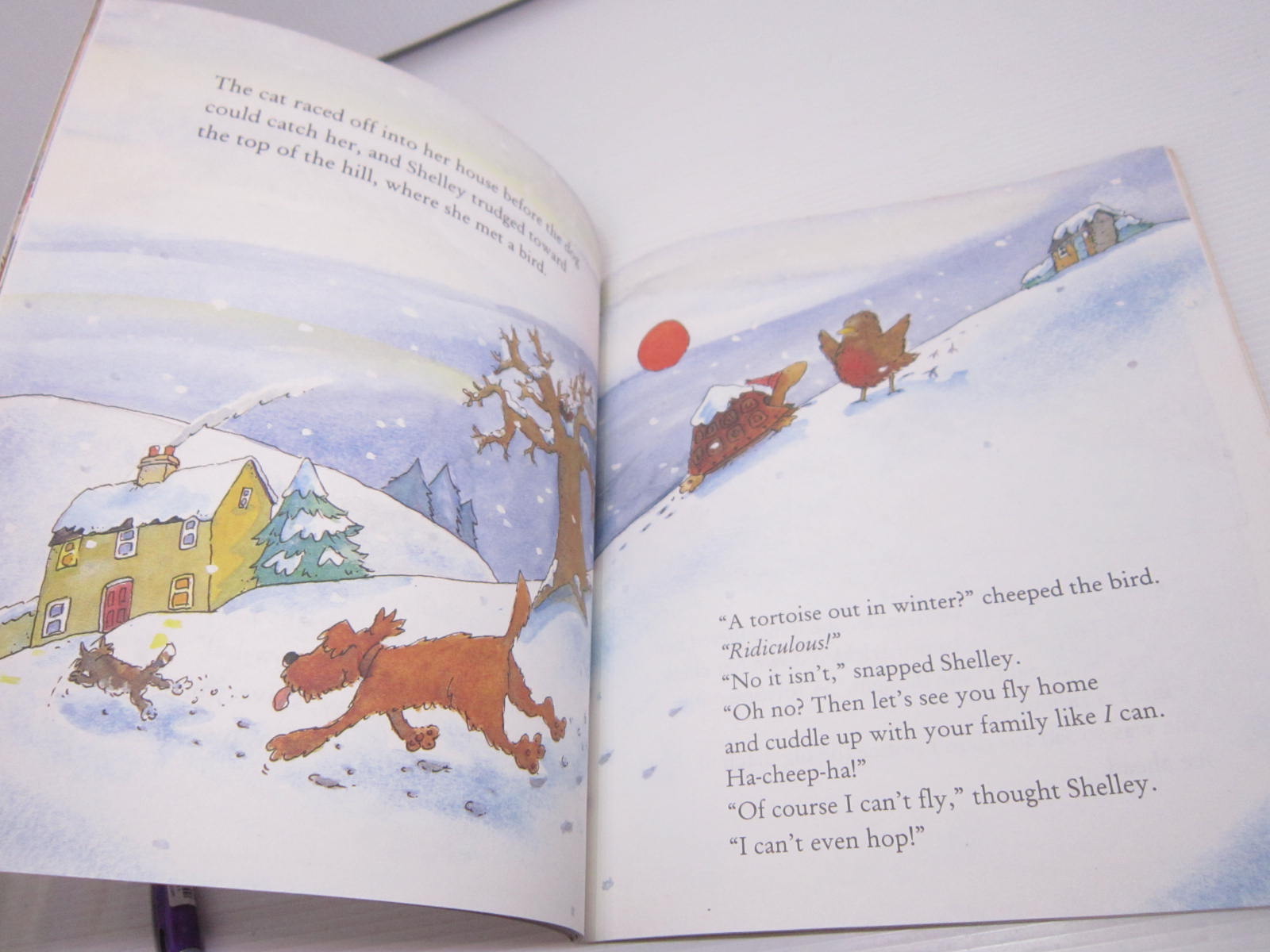 「二手書」Scholastic A silly Snowy Day Ridiculous 英文讀本 Coleman | 蝦皮購物