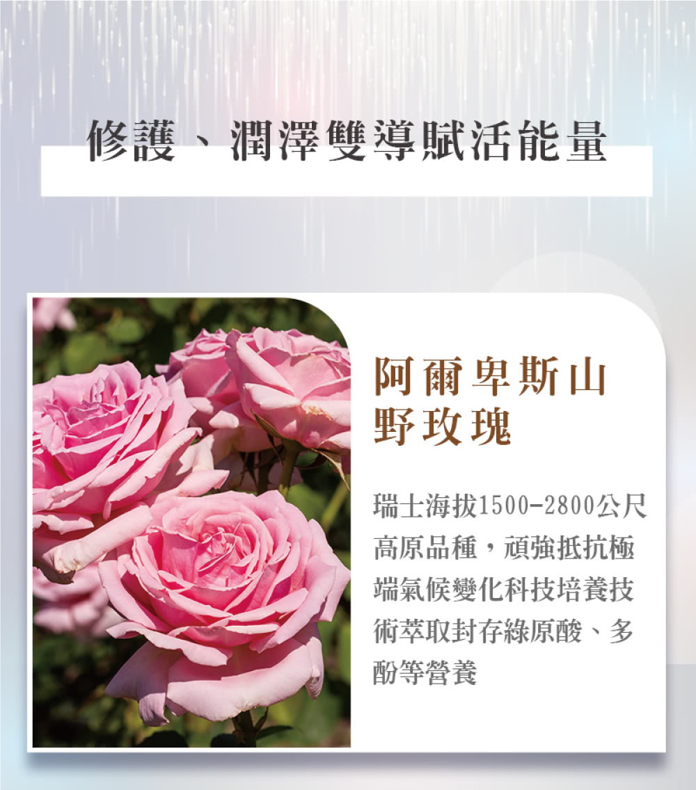 領券現折/BELDORA蓓朵娜 360°光速淡斑美白激活露100ml/白月光激活露/小姐不熙娣推薦/ | 蝦皮購物