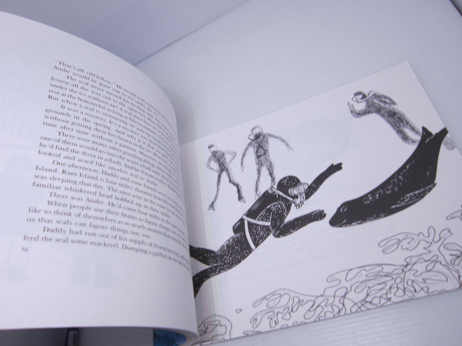 「二手書」Andre Lew Dietz 英文繪本 harbor seal Down East Books | 蝦皮購物