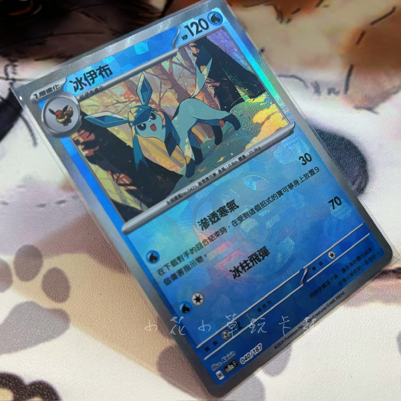 *小花小草* 冰伊布 大師球 中文版 sv8a PTCG 寶可夢 040/187 太晶慶典 | 蝦皮購物