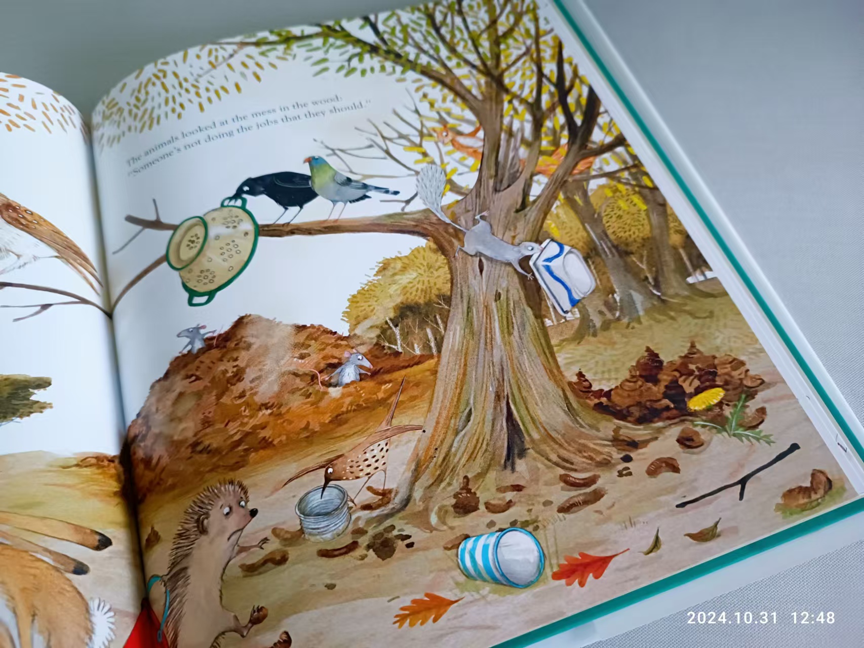 現貨塑封🍀精裝英文繪本Bothered by Bugs🍀Emily Gravett 2024年新作細膩畫風🍀缺書店 | 蝦皮購物