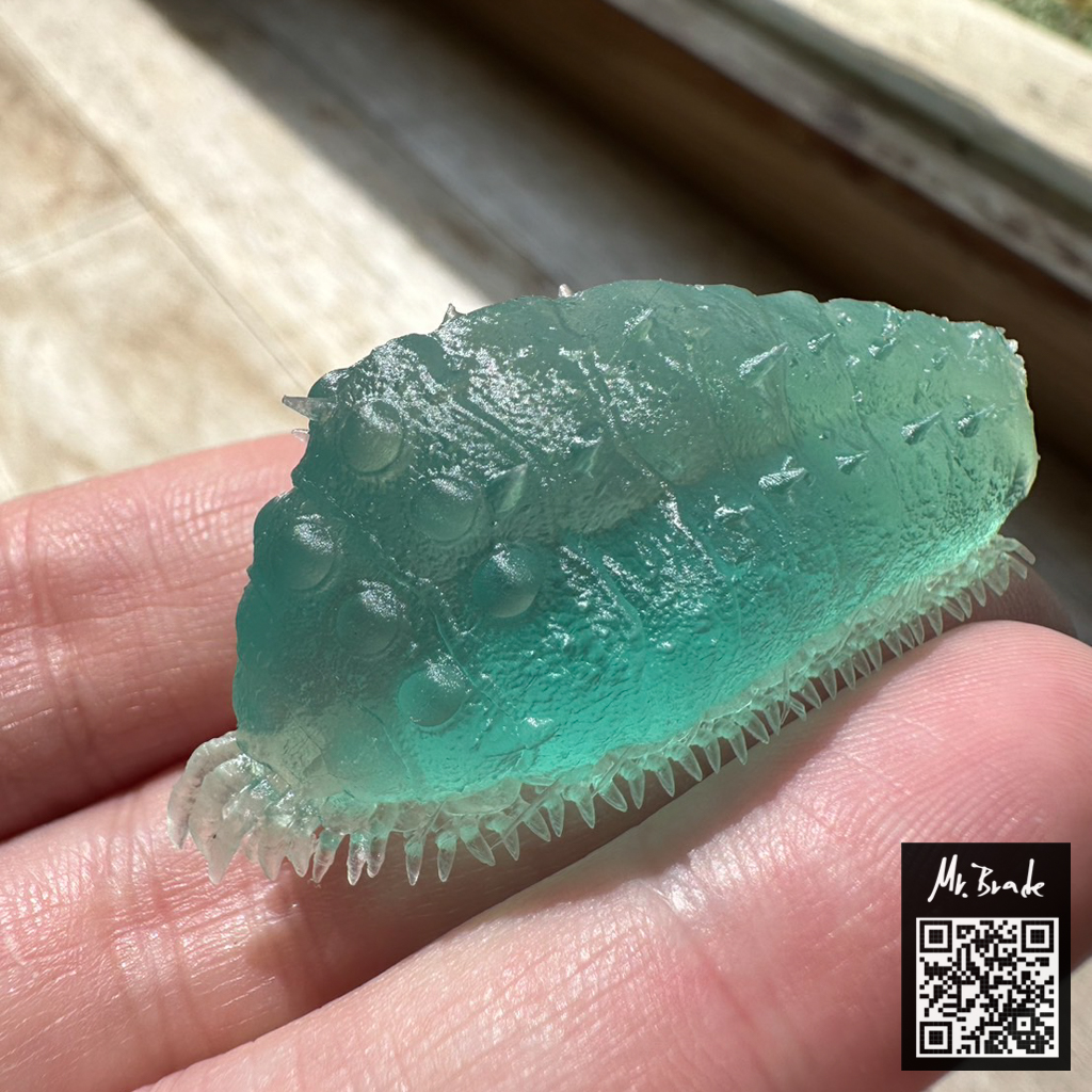 Mr.Brade 風之谷 王蟲(扭蛋大小)_3D列印未塗裝模型 （出清中） | 蝦皮購物