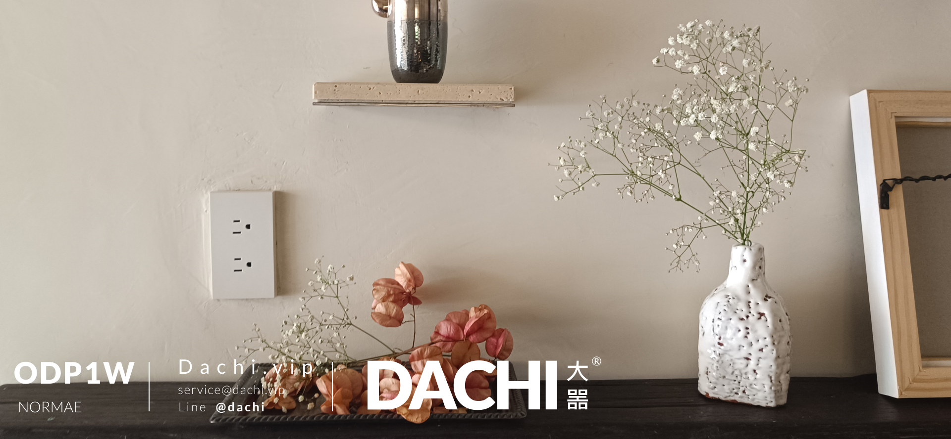 DACHI大噐｜NORMAE 系列｜插座｜國際牌星光改裝面板 | 蝦皮購物