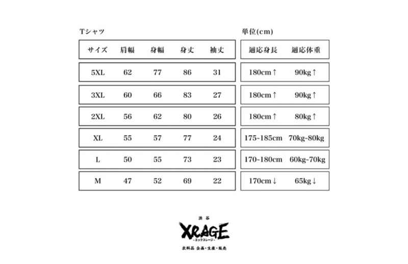 《全新現貨》XRAGE x 咒術迴戰 黑閃 刺繡短T 2XL | 蝦皮購物