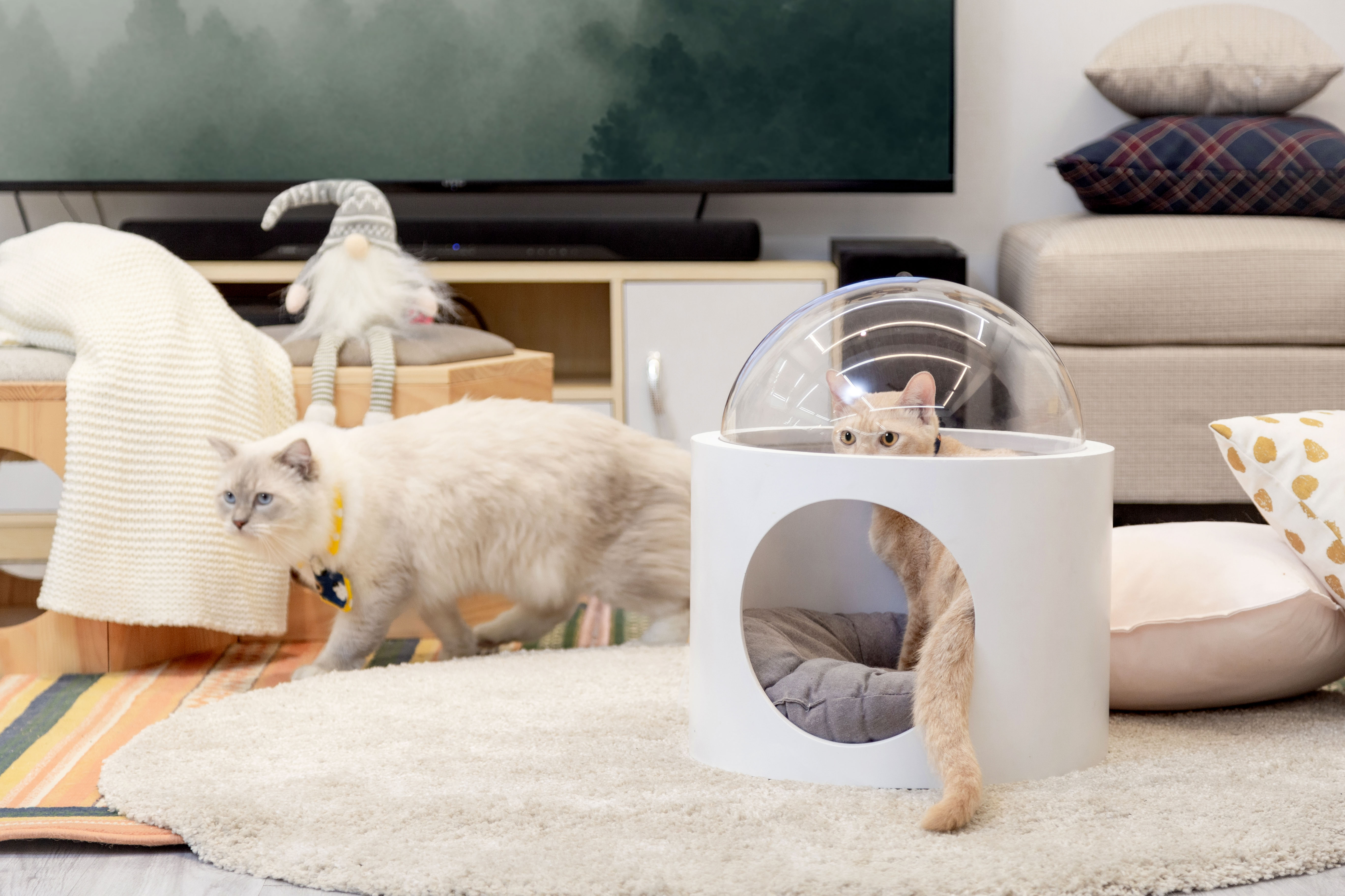 MYZOO 動物緣｜太空計劃 Gamma（白色） | 蝦皮購物