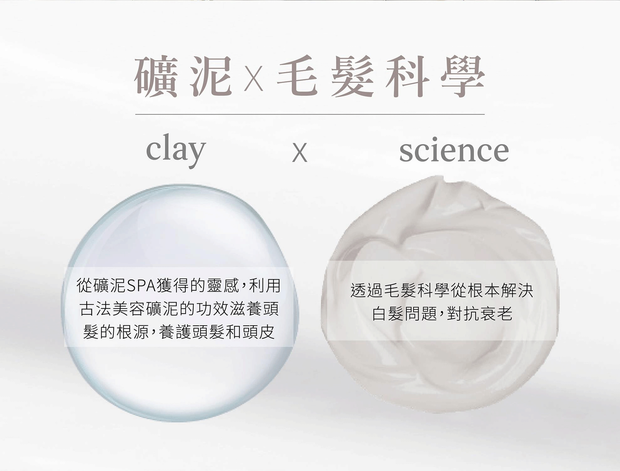 日本clayence 科麗恩絲天然礦泥染髮護髮乳 235g 染髮 蓋白髮 專用 安全 | 蝦皮購物