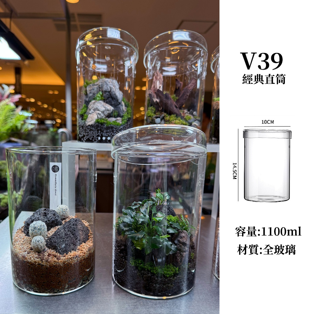 新品優惠【草葉日和】生態瓶 花瓶 V39經典直筒生態瓶 苔蘚 室內植物 水耕植物 生態缸 微景觀 玻璃花瓶 花器 ADA | 蝦皮購物
