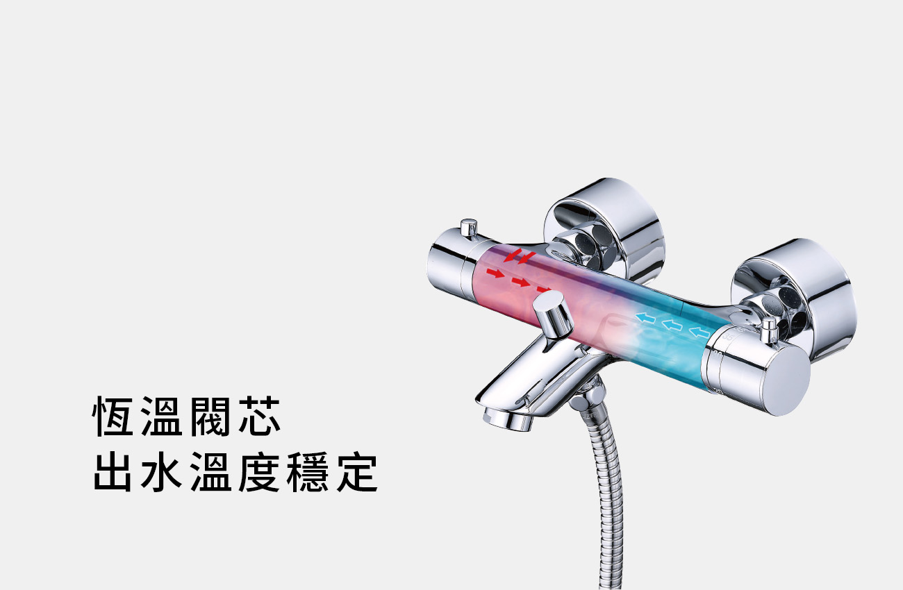 Caesar 凱撒 控溫沐浴蓮蓬頭組 沐浴龍頭 控溫龍頭 花灑 蓮蓬頭 本體防燙設計 TS619 (含發票) | 蝦皮購物