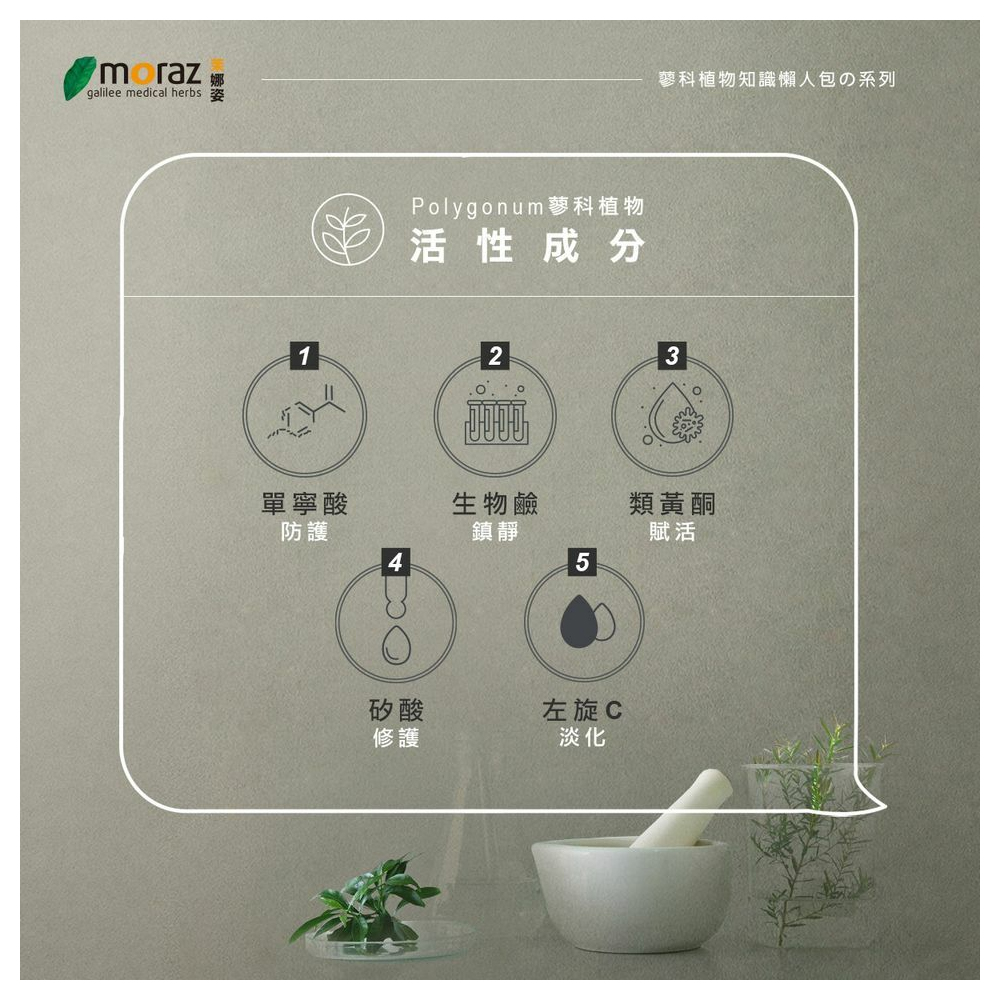 現貨 官方正品授權 Moraz 茉娜姿 指甲緣修護精華PROF 14ml 澄石藥局 實體店面 | 蝦皮購物