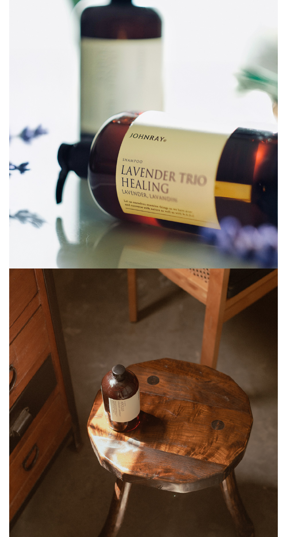 約翰森林JOHNRAY｜三種薰衣草療癒洗髮精 500ml【伊聖詩 官方直營】 | 蝦皮購物