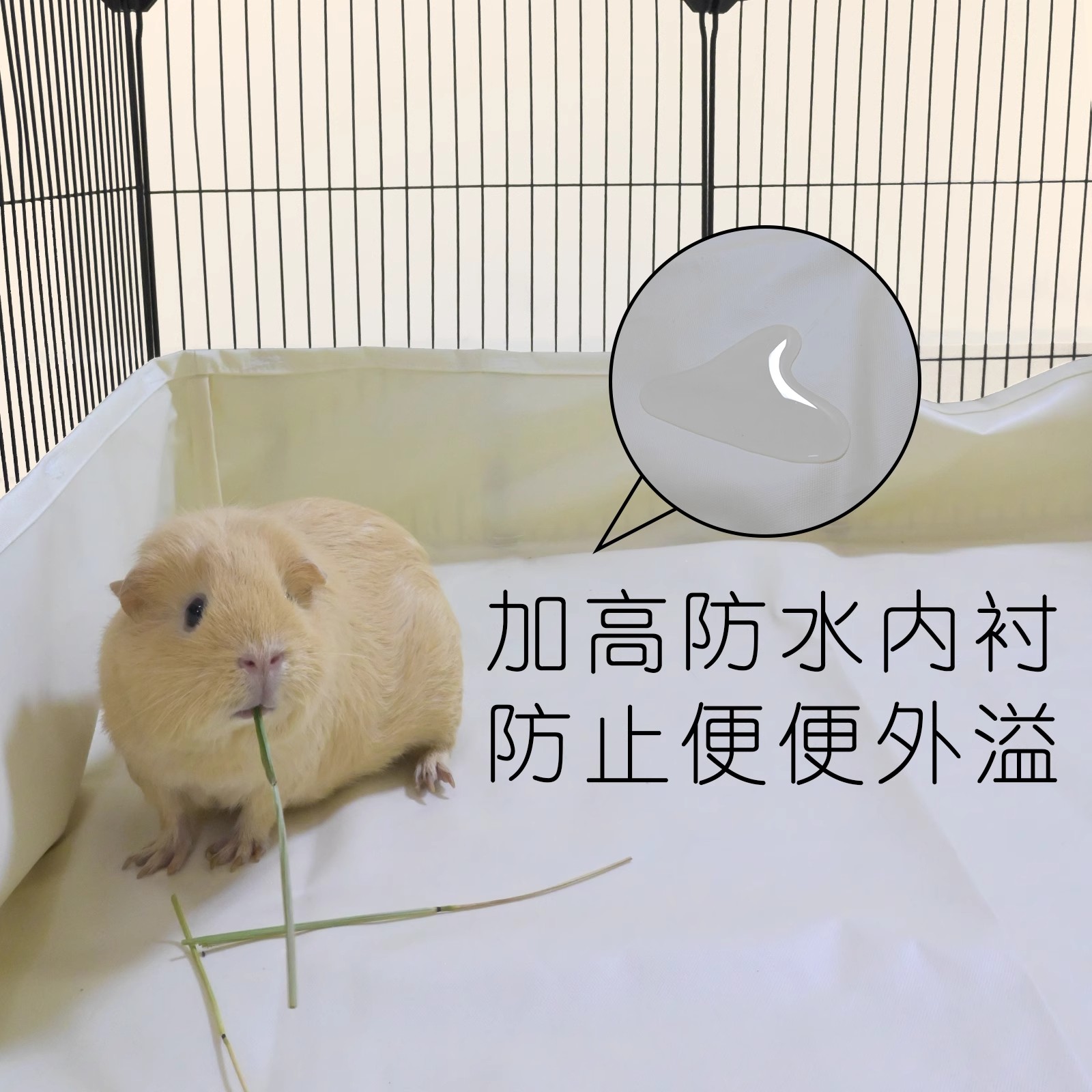 【XL-LX】居咪荷兰猪 豚鼠笼子尿垫 侏儒兔笼尿兜 可水洗奶油风 70*105cm | 蝦皮購物