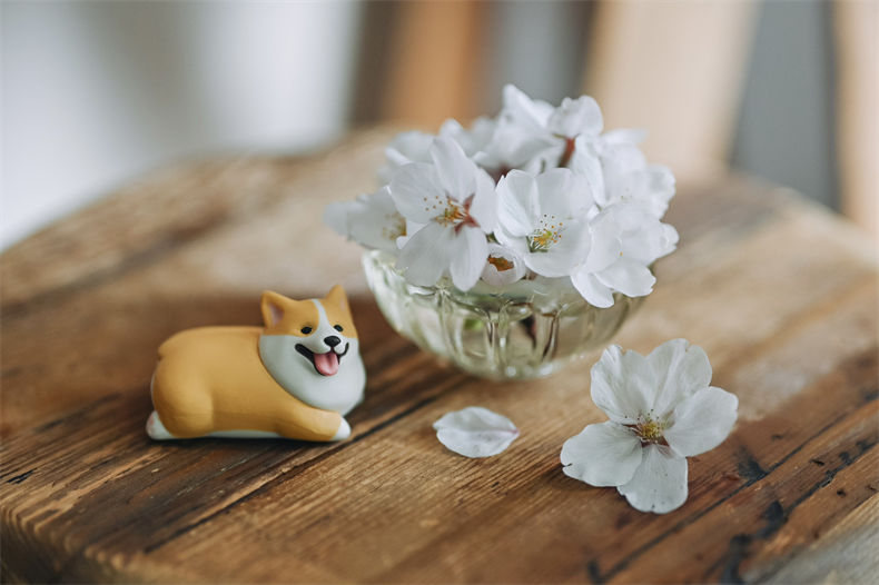 【日本正版】STASTO立石 Q版柯基扭蛋公仔 收藏級可愛手辦 全系列多款式隨機出貨｜萌寵系列 | 蝦皮購物