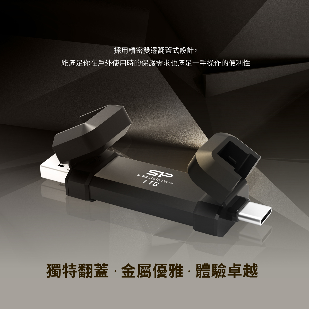 SP廣穎 DS72 250GB/500GB/1TB/2TB Type-C USB-A雙用 外接硬碟 外接固態硬碟 SSD | 蝦皮購物