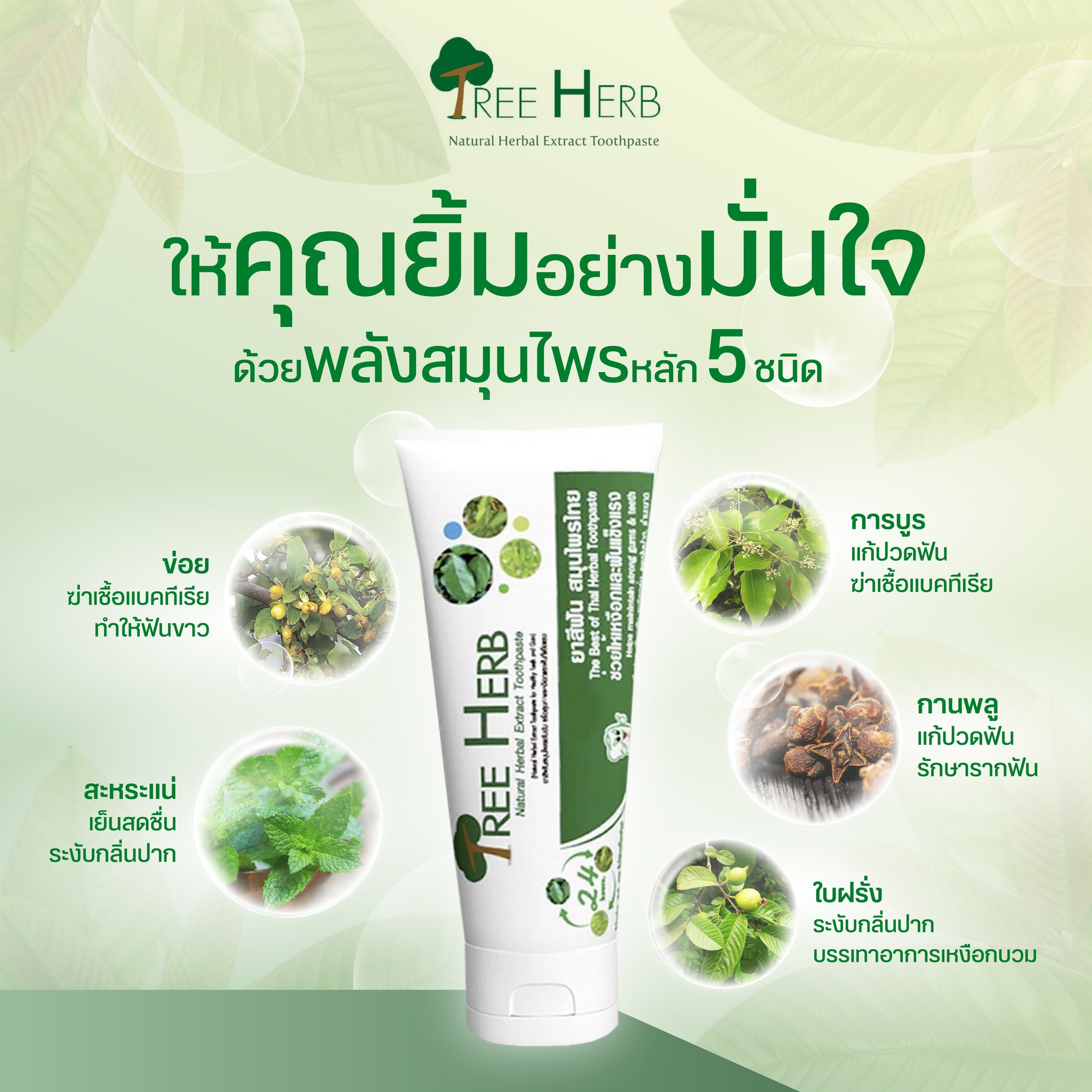 泰國 Tree Herb 天然草本牙膏 Tree Herb toothpaste 80g | 蝦皮購物