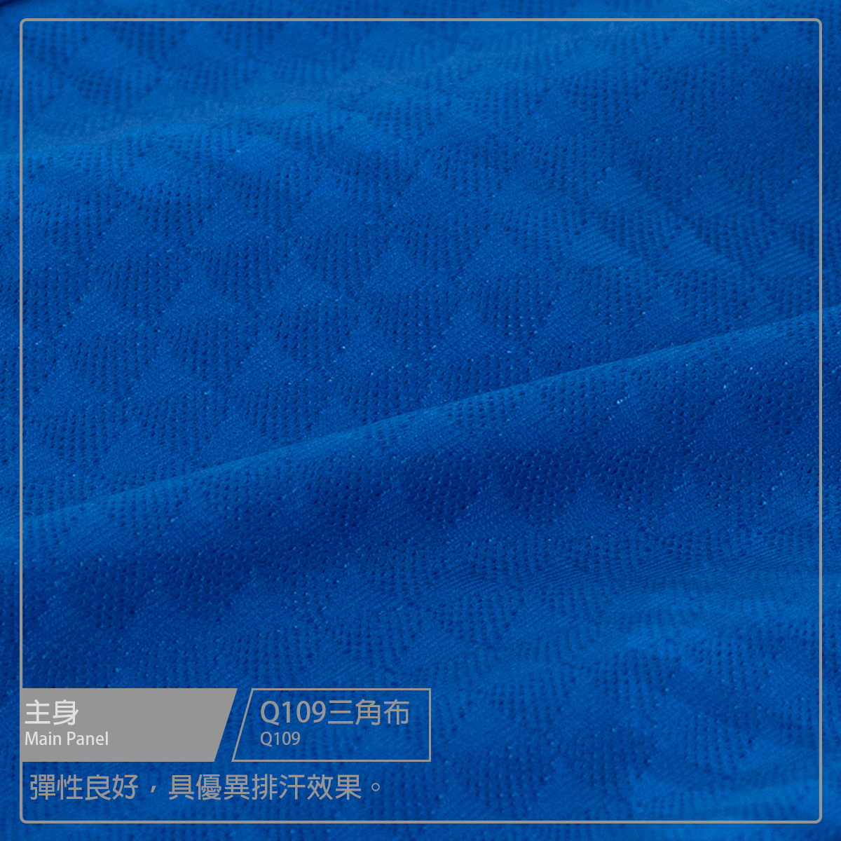 BAISKY百士奇自行車男款空力極短車衣 2025 中華隊市售版 CHINESE TAIPEI 藍 | 蝦皮購物