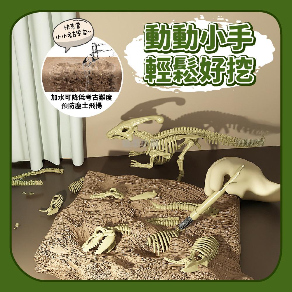 恐龍化石挖掘 石膏化石 挖掘石膏 挖掘恐龍 挖掘化石 恐龍化石 考古化石 考古挖掘 考古恐龍 ☆蠟筆小屋☆ | 蝦皮購物