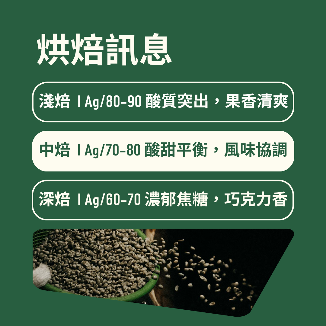 特殊酒桶厭氧處理｜熱帶果香茶感×焦糖｜SOE精品G1阿拉比卡 咖啡豆｜手沖適合【Sober Club 清醒俱樂部】 | 蝦皮購物