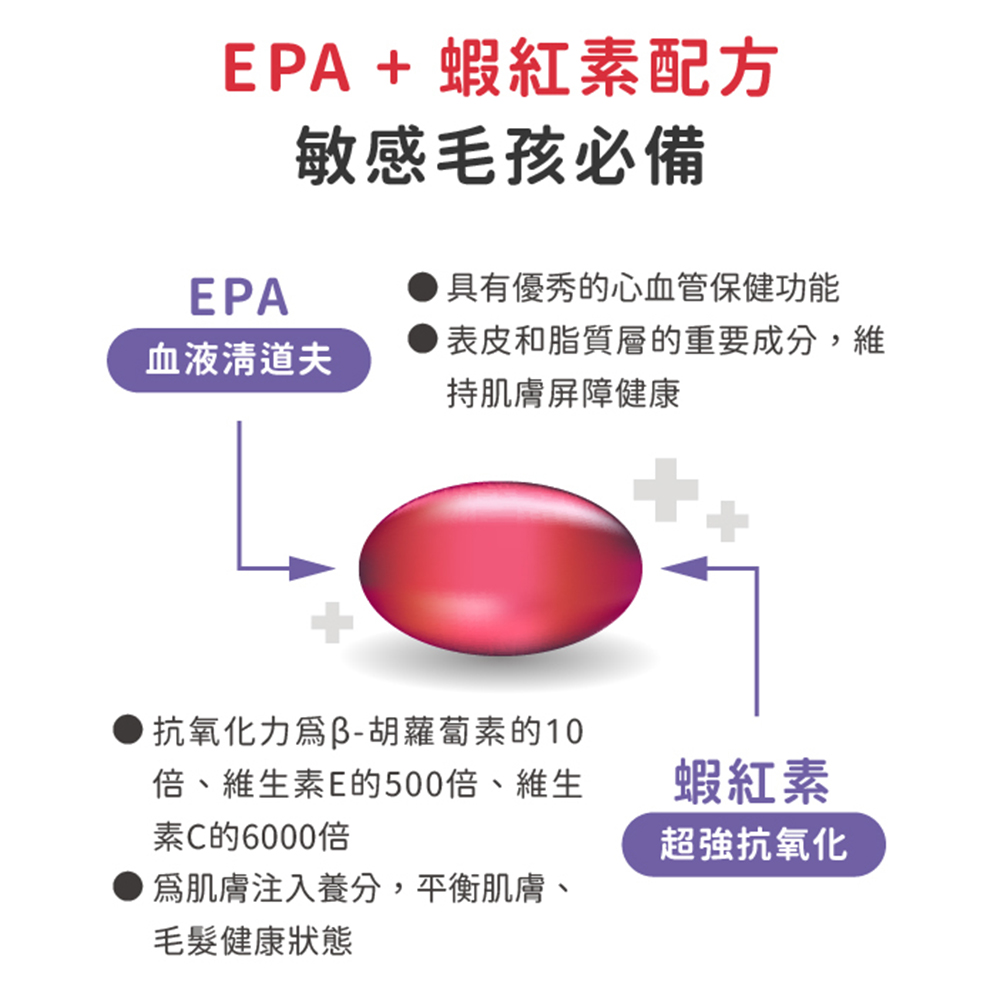 UTO嚴選| Qix Q-NESS 日本專科皮膚魚油 [犬貓通用] | 蝦皮購物