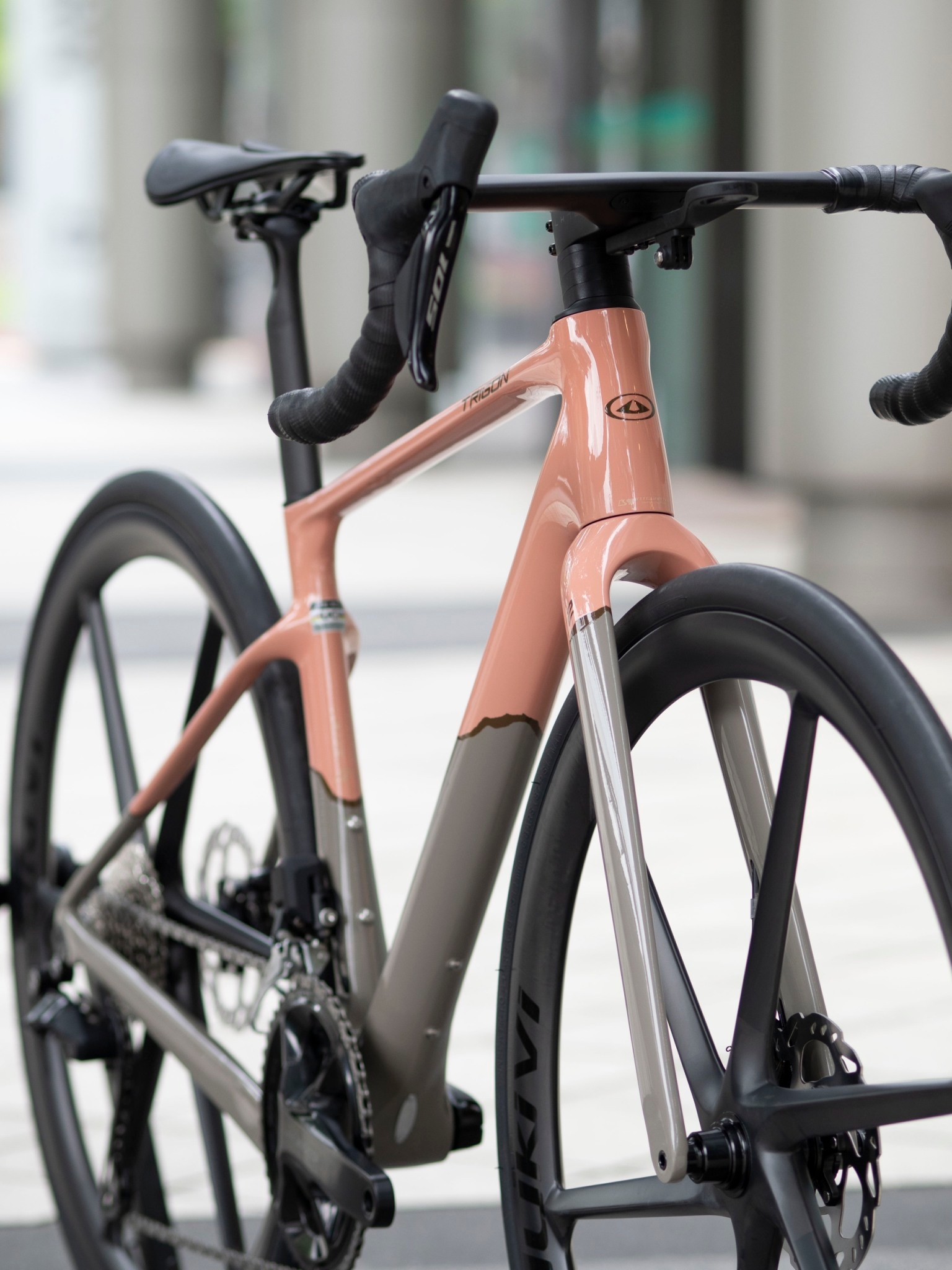 TRIGON RC2 碟煞公路車 105 Di2電變成車 車架組 台灣特別版 經典 > BIKEfun拜訪單車 | 蝦皮購物