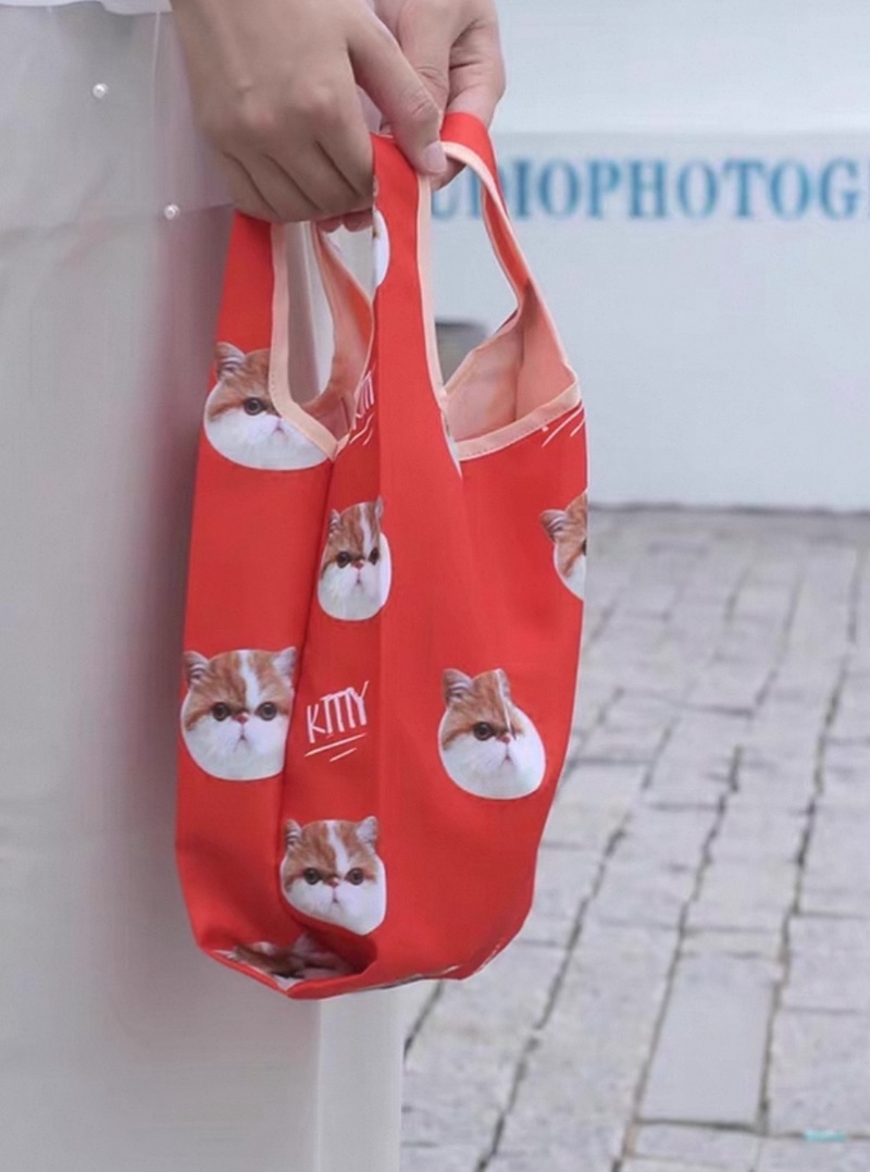 現貨｜時尚折疊實用購物袋｜小尺寸 | 蝦皮購物