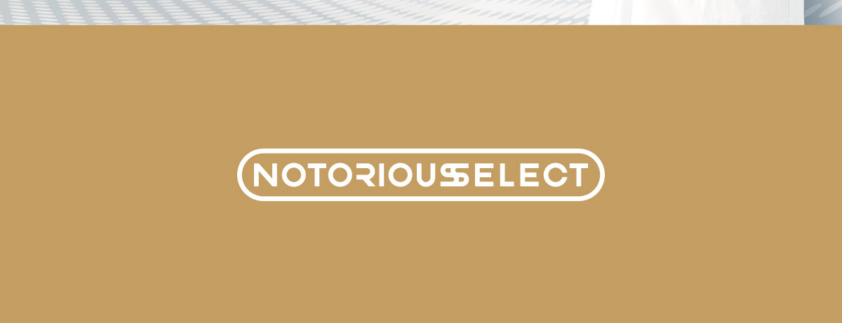 【Notorious】惡名昭彰．有機馬卡根粉 多入優惠 馬卡 瑪卡 保健食品 保健 館長｜官方正品 | 蝦皮購物