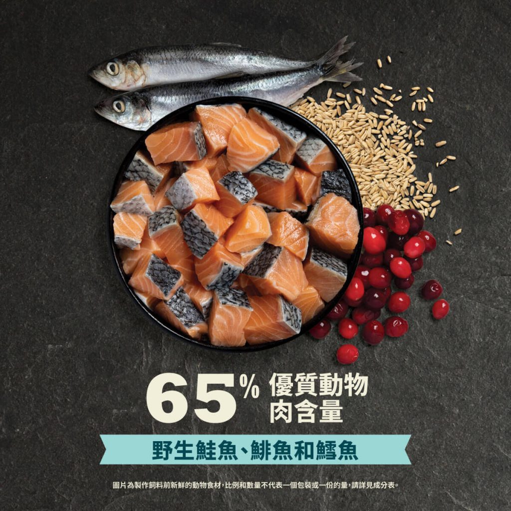 毛毛市集坊｜愛肯拿 ACANA 豐盛漁獲低GI配方貓飼料 (野生鮭魚+鱈魚+虹鱒魚)1.8/4.5kg | 蝦皮購物