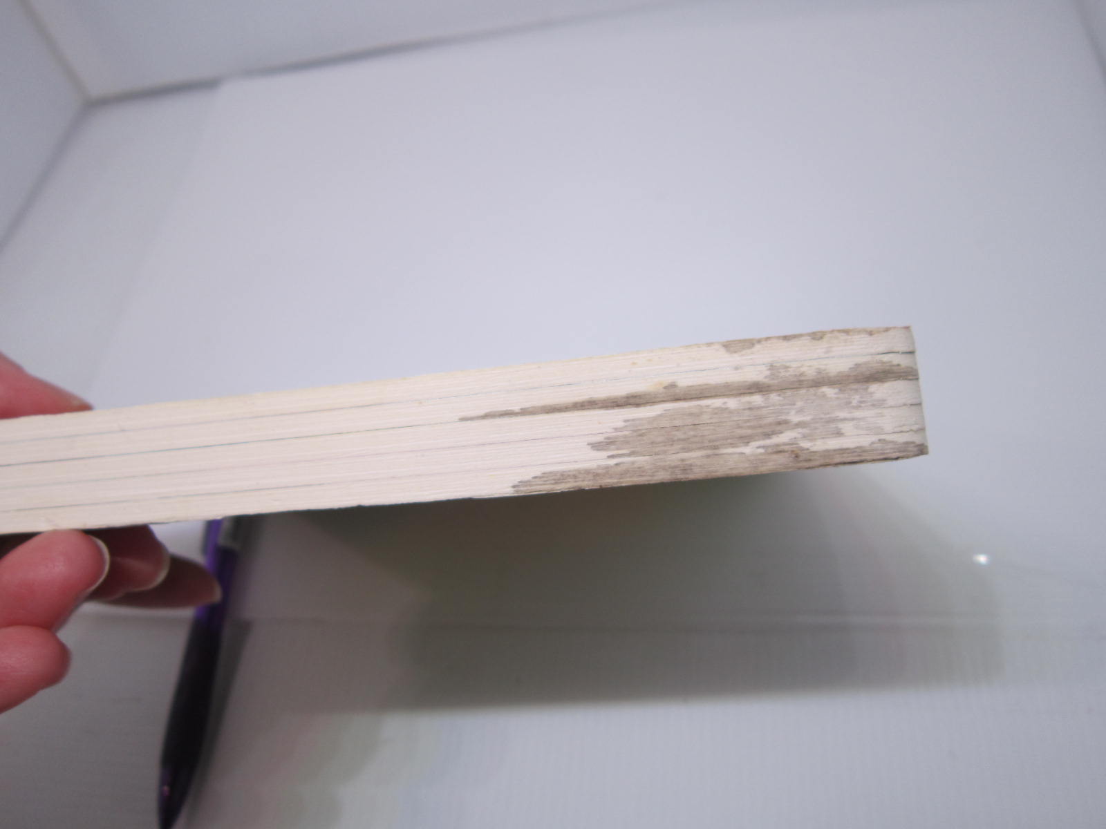 「二手書」Nosy Crow Bizzy Bear Pizza time 硬頁 英文繪本 QRcode MP3 | 蝦皮購物