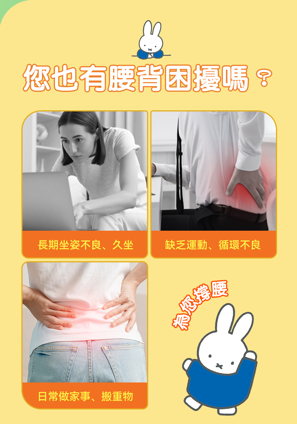 【miffy | OSIM】紓暖巧摩枕 miffy限量款OS-2240(按摩枕/U型人體工學) 預購10/9出貨 | 蝦皮購物