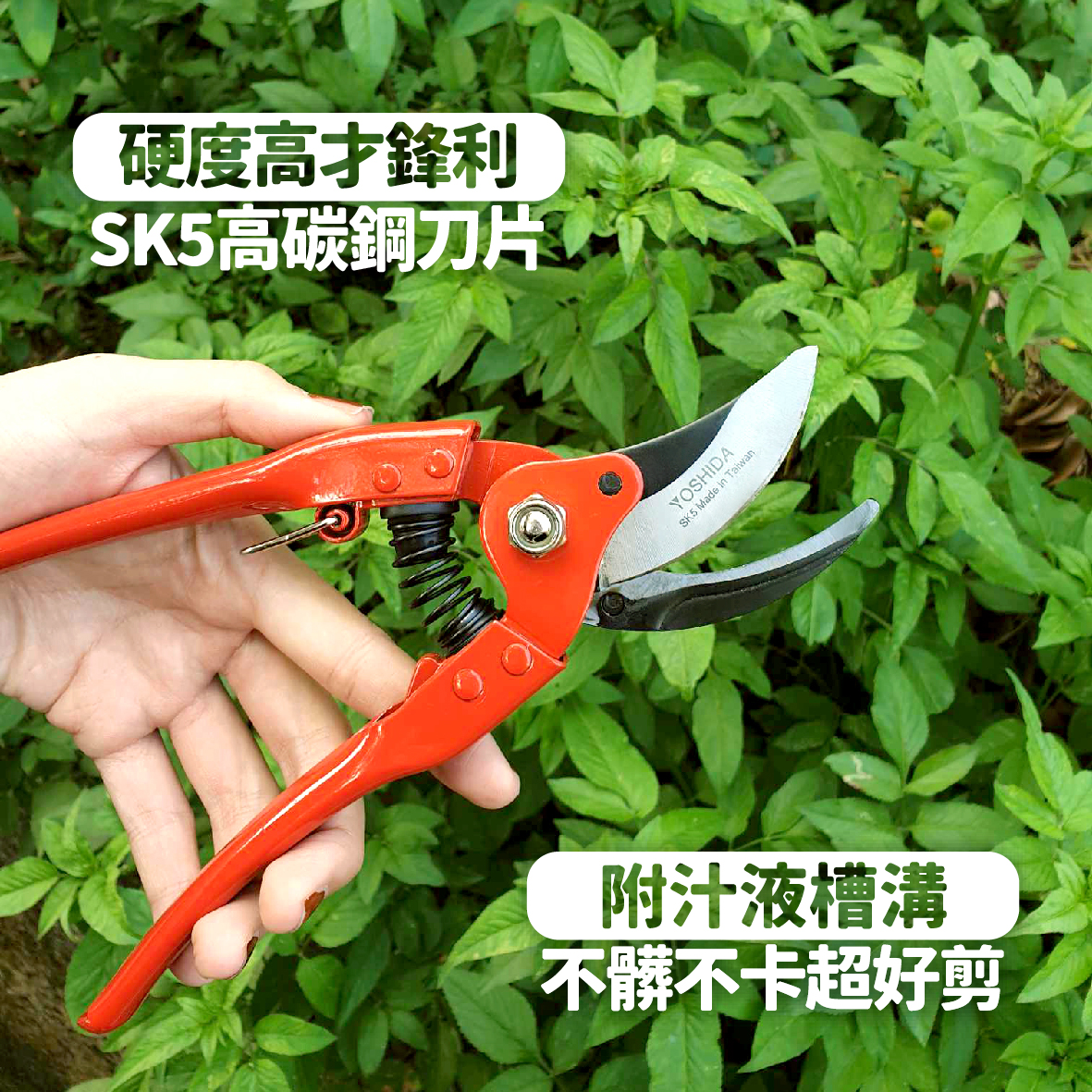 【臺灣製造🔥】合金柄修枝剪🌟SK5高碳鋼刀片 高硬度好鋒利💕附樹汁溝槽 可剪20mm🐱樹枝剪/水果剪/花藝剪/園藝剪刀 | 蝦皮購物