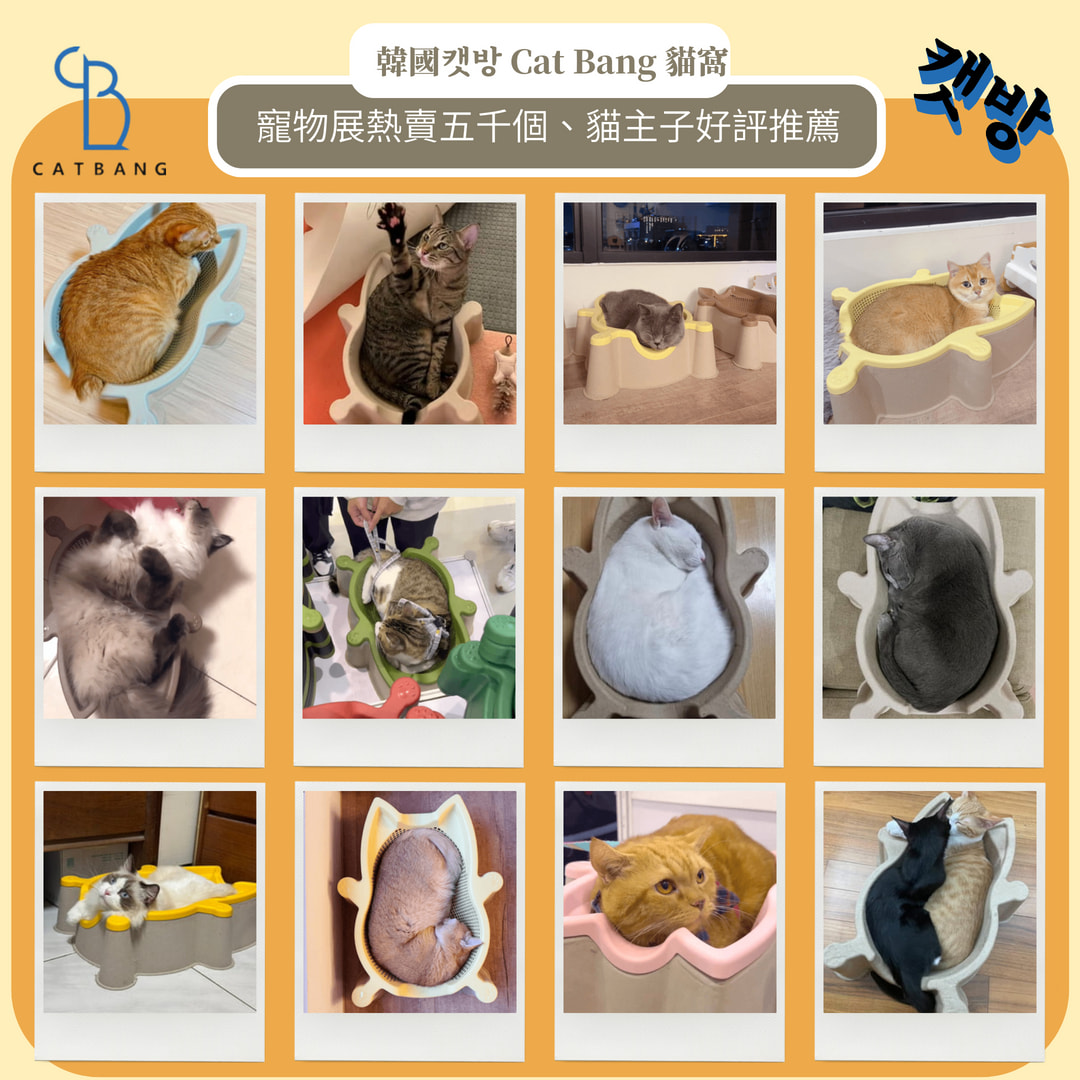 【韓國CATBANG】SoKuRi貓籃1款優惠價$499/任選2件 $899 限宅配 韓國超人氣品牌 展場爆款商品 | 蝦皮購物