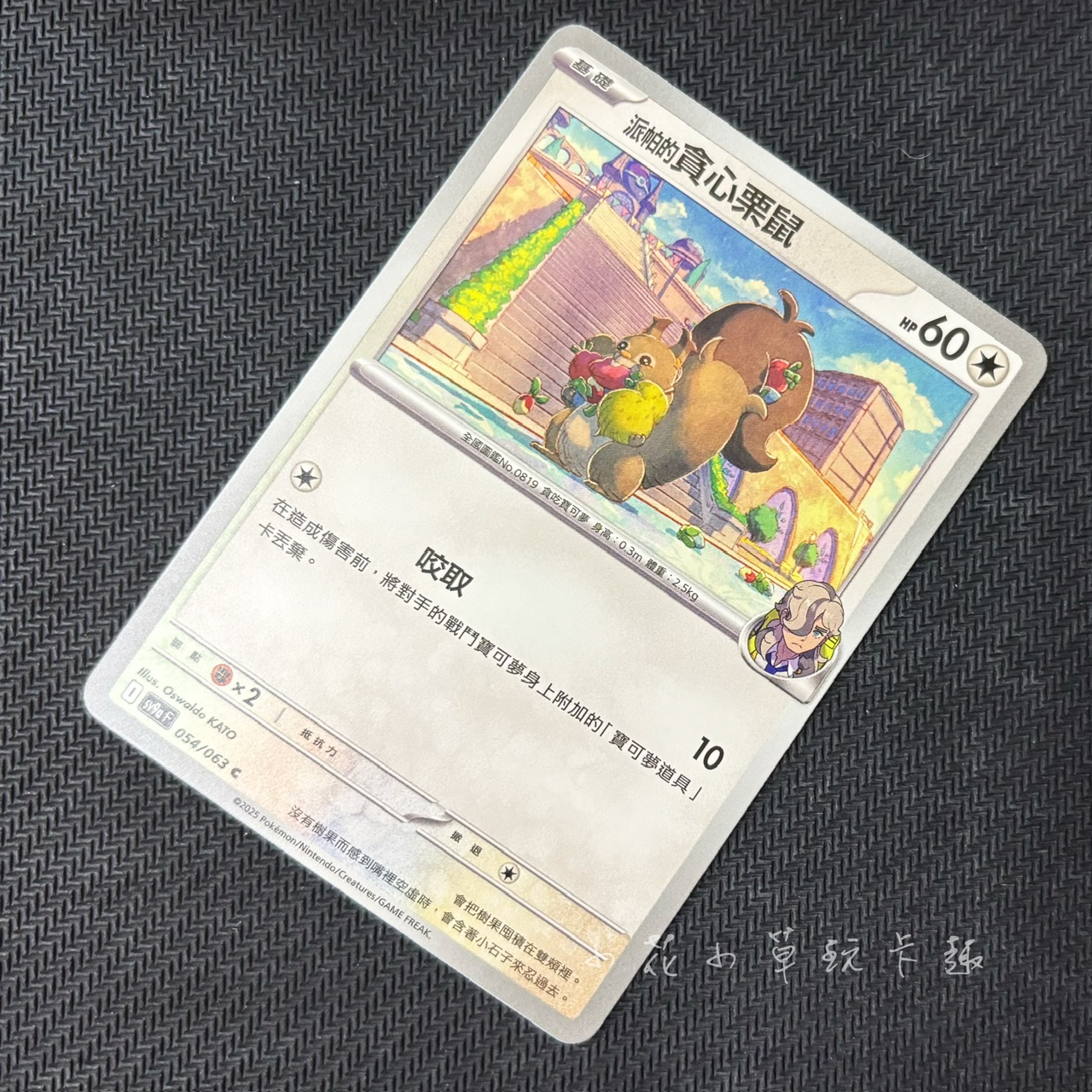 *小花小草* 派帕的貪心栗鼠 中文版 普卡 sv9a PTCG 寶可夢 054/063 熱風競技場 | 蝦皮購物