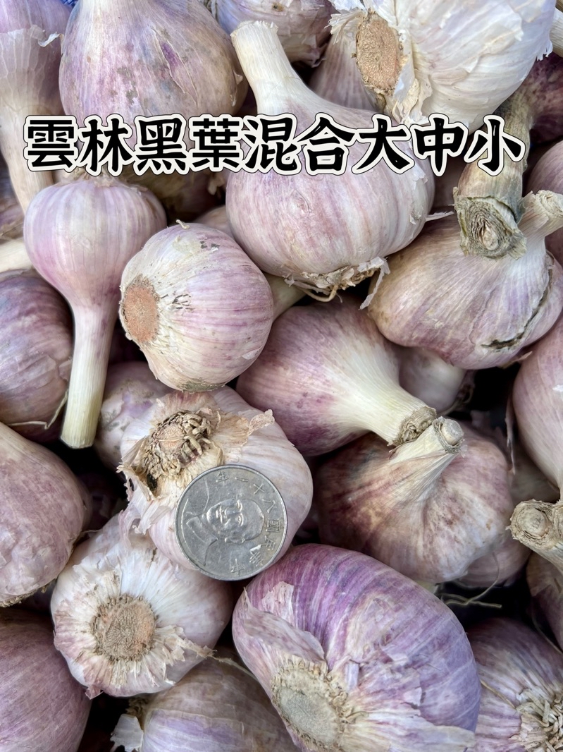 （縢哥小鋪）台灣大顆紅蔥頭+全乾蒜頭（快速出貨）Taiwan shallot garlic | 蝦皮購物