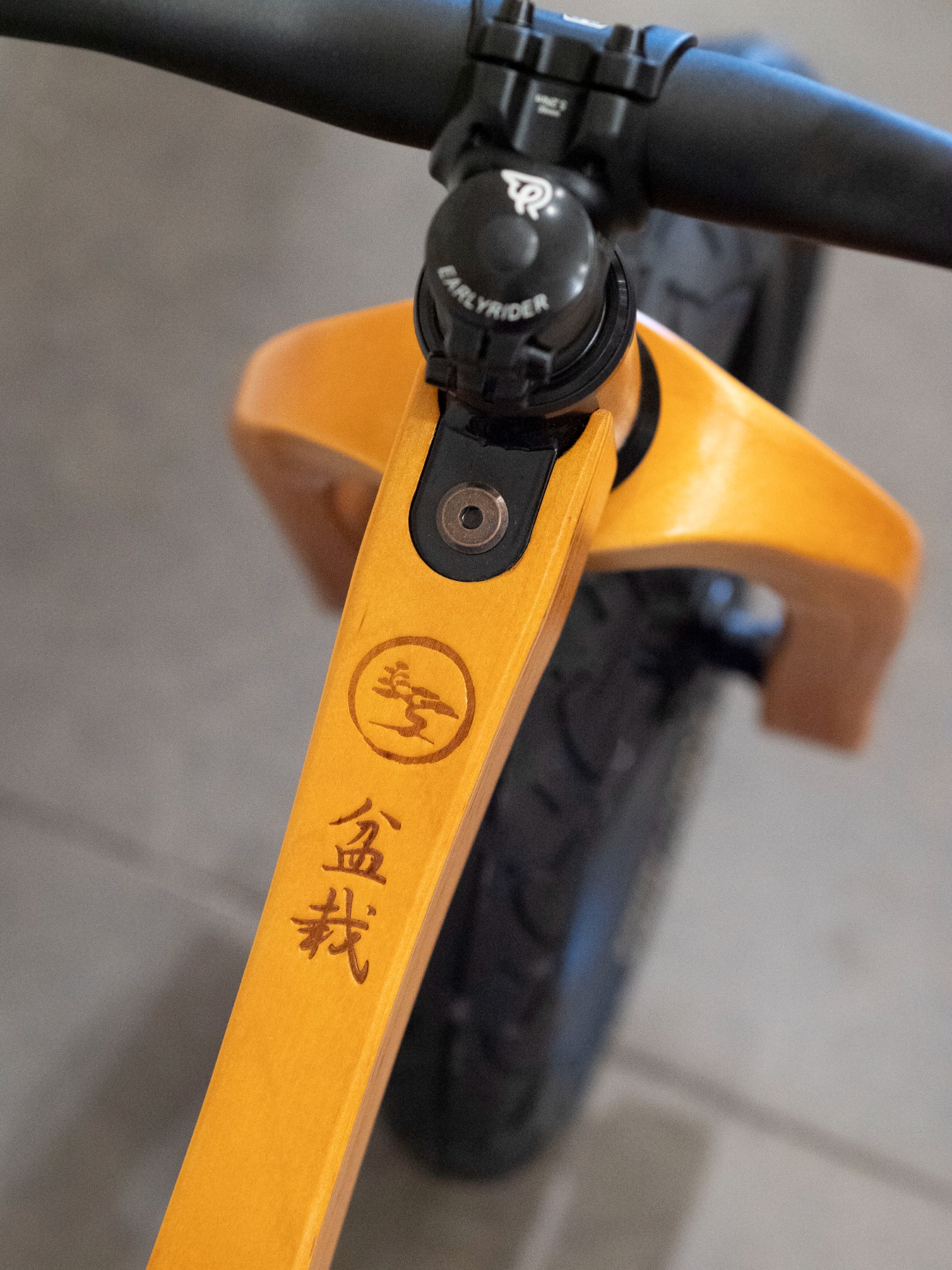 英國 Early Rider Bonsai 12滑步車 兒童平衡車 盆栽小木馬 3.75kg > BIKEfun拜訪單車 | 蝦皮購物