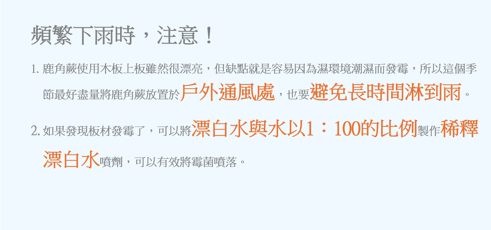 Akki 鹿角蕨 | P. 'Akki'【上板鹿角蕨】 | 蝦皮購物